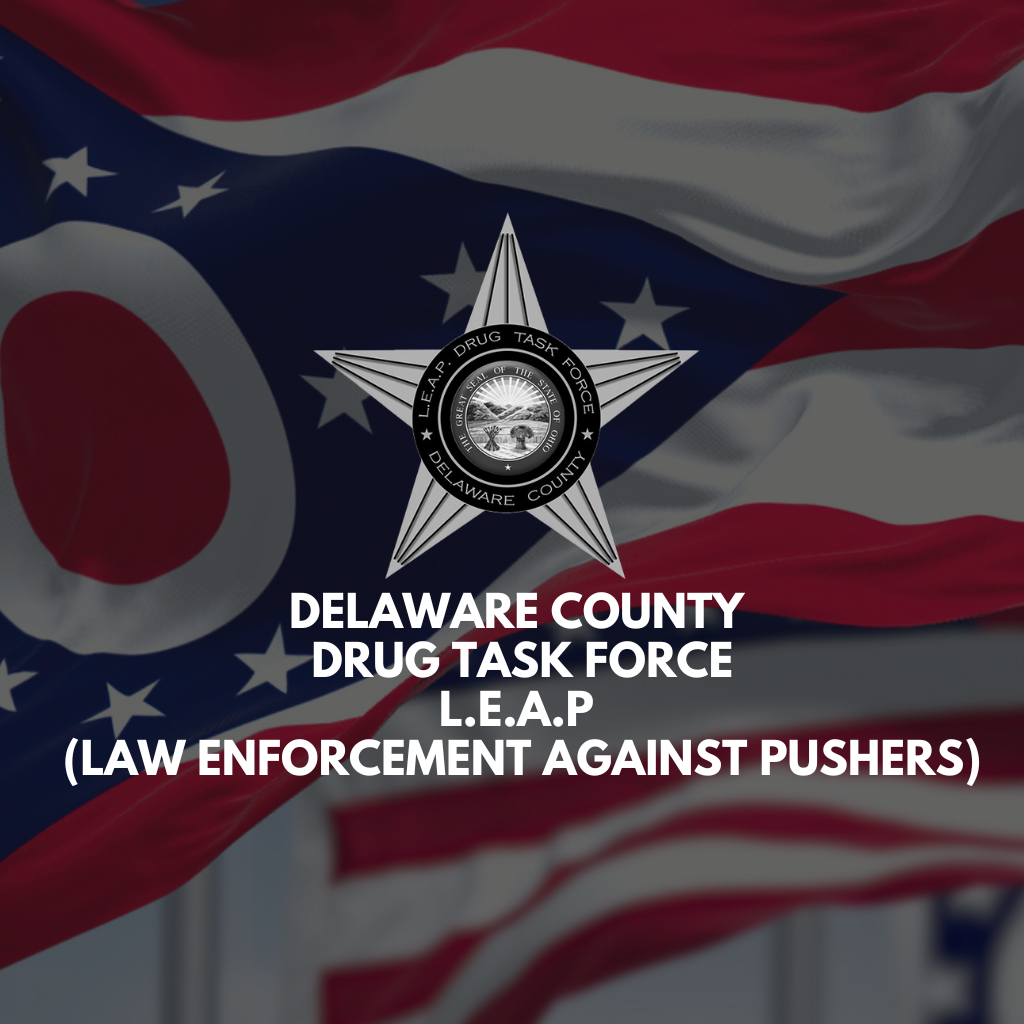 Delaware County, Ohio Task Force Commanders Association